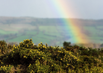 The East Devon Way - East Devon National Landscape