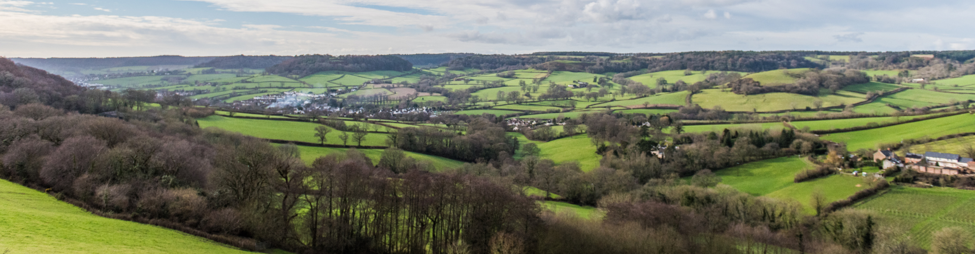 Walk: Church Green, Farway to Sidbury - East Devon National Landscape