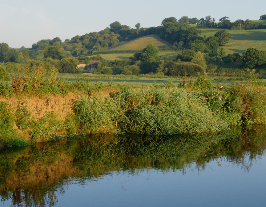 East Devon National Landscape - A landscape 250 million years in the making
