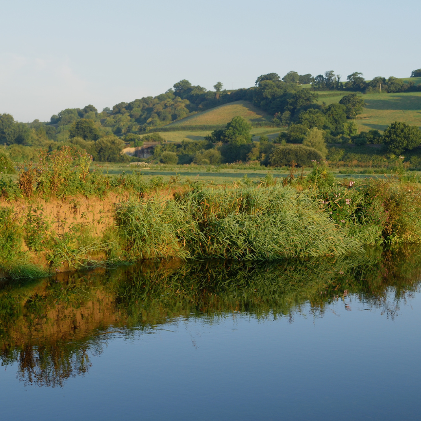 Rivers Run Through Us - East Devon National Landscape